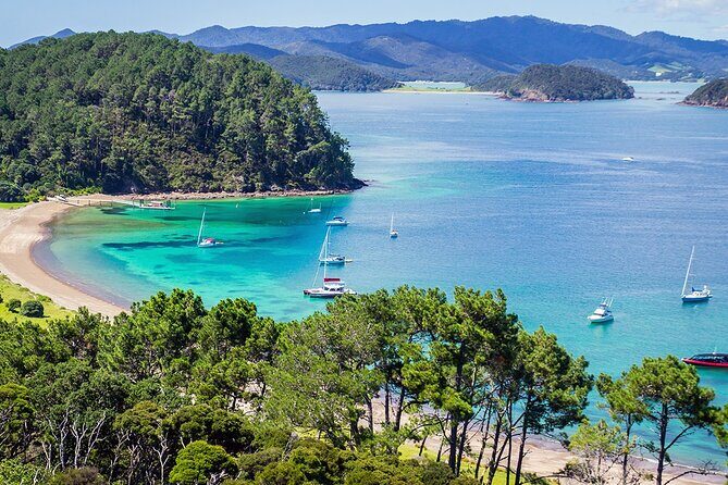 [PRIVATE] Bay of Islands Discovery From Auckland - FAQ