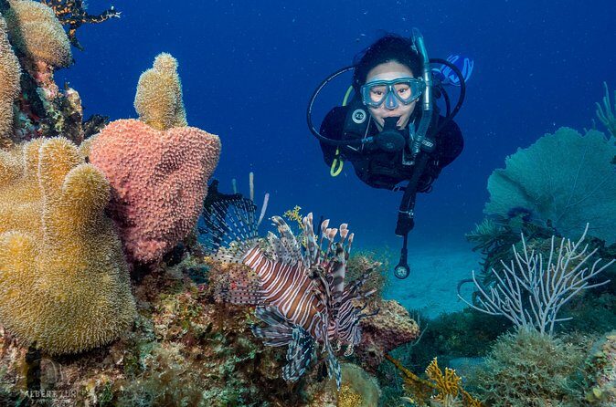 Private Bayahibe 3 Tank Diving with Lunch from Punta Cana - Frequently Asked Questions