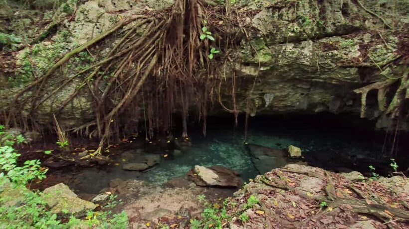 Private: Bayahibe: Jungle Walk and Cenote Snorkeling Tour - Key Points