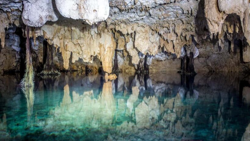 Private: Bayahibe: Jungle Walk and Cenote Snorkeling Tour - An Honest Look at the Experience