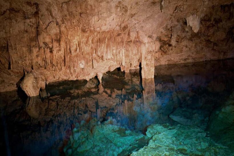 Private: Bayahibe: Jungle Walk and Cenote Snorkeling Tour - Real Travelers’ Perspectives