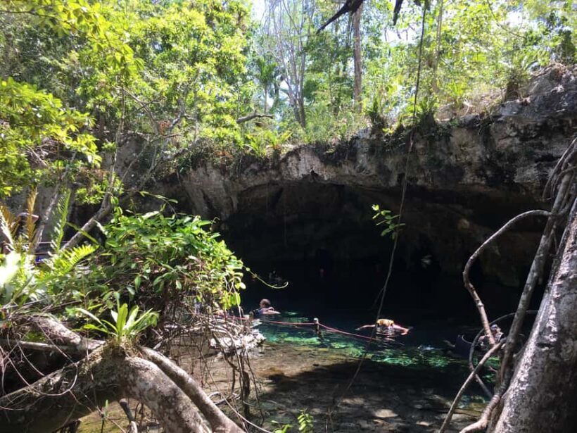 Private: Bayahibe: Jungle Walk and Cenote Snorkeling Tour - FAQs