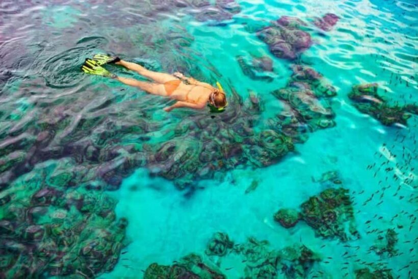 Private Bayahibe: Snorkeling Tour with Lunch and Cenote Swim - Exploring Bayahibe’s Underwater World