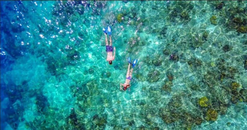Private Bayahibe: Snorkeling Tour with Lunch and Cenote Swim - The Beachside Lunch: Tasting Local Flavors