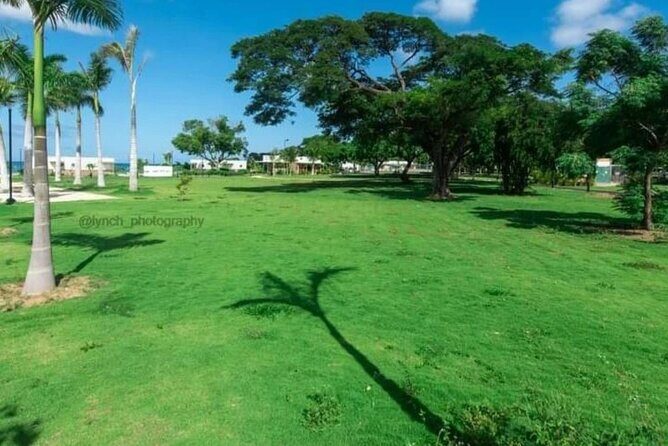 Private Beach Day and Street Food Tour from Montego Bay - Introduction