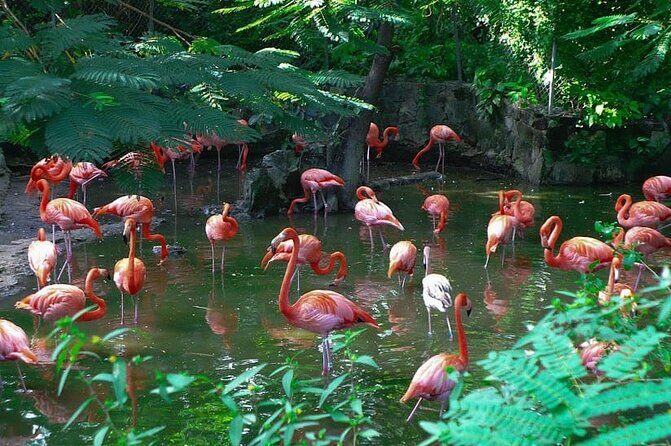 Private Beach Day/Guided TourThrough New Providence Island - A Closer Look at the Nassau Private Guided Tour