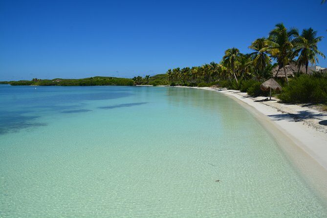 Private Beach Escape! Isla Contoy and Isla Mujeres with Snorkeling - A Deep Dive into the Tour Experience
