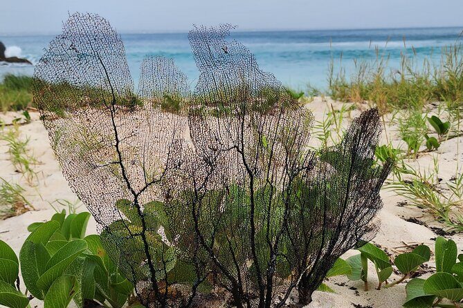 Private Beach Hike Sunrise Serenity - The Experience in Detail