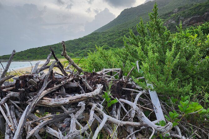 Private Beach Hike Sunrise Serenity - FAQs