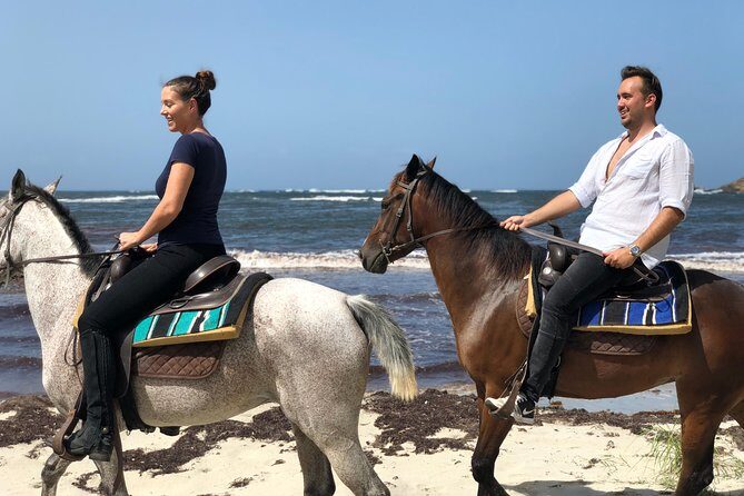 Private Beach Horseback Ride with Sandy Hoofs St. Lucia - Key Points