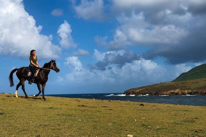 Private Beach Horseback Ride with Sandy Hoofs St. Lucia - A Deep Dive into the Sandy Hoofs Experience