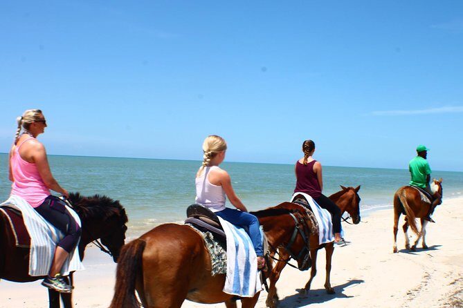 Private Beach Horseback Riding from Ocho Rios - An In-Depth Look at the Experience