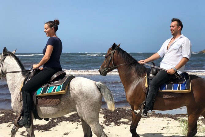 Private Beach Picnic Horseback Ride with Sandy Hoofs St. Lucia - Key Points