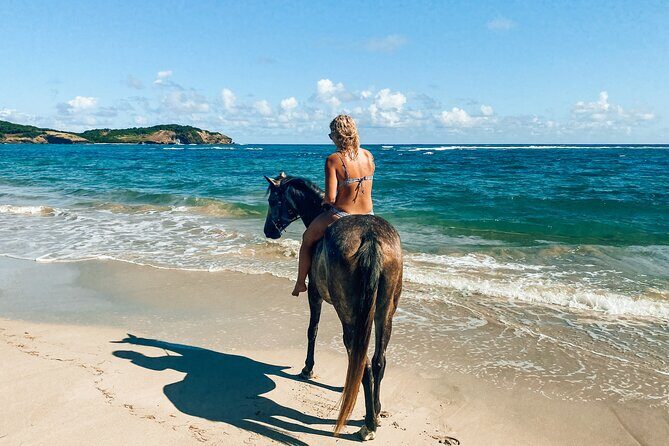 Private Beach Picnic Horseback Ride with Sandy Hoofs St. Lucia - Authentic Experiences and Real Reviews