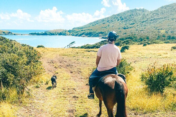 Private Beach Picnic Horseback Ride with Sandy Hoofs St. Lucia - Who Should Consider This Tour?