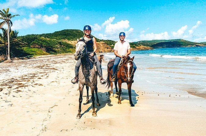 Private Beach Picnic Horseback Ride with Sandy Hoofs St. Lucia - The Sum Up
