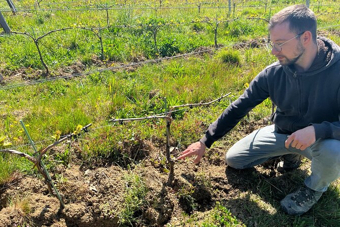 Private Beaujolais Wine Tour - Health and Accessibility Considerations