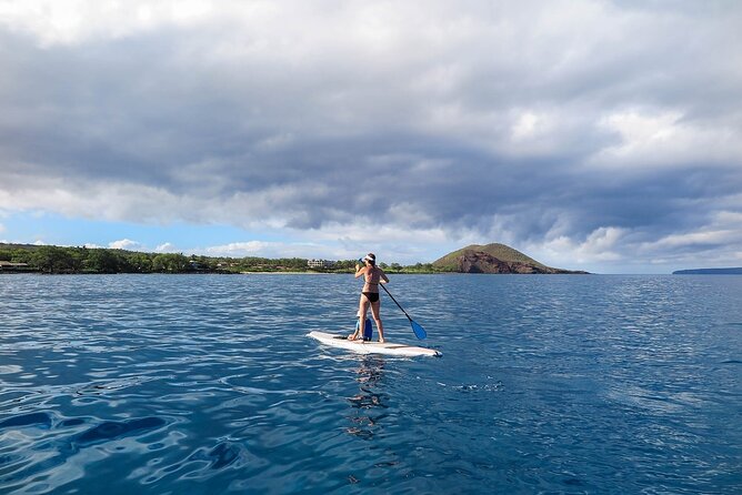 Private Beginner Paddleboard 101 Lesson: Polo Beach, Turtle Town - Family-Friendly Activities