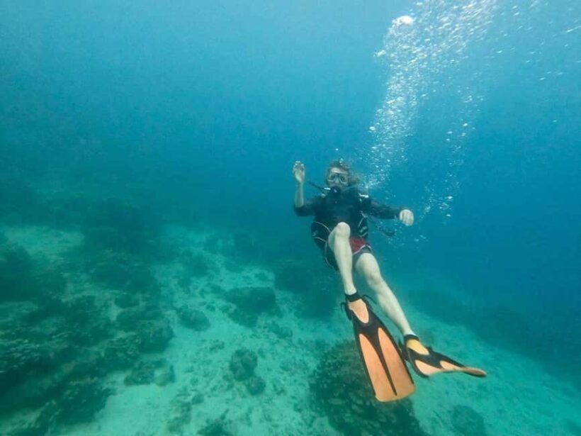 Private: Beginner Scuba Dive in Bávaro: 30-Minute Reef Dive - Key Points