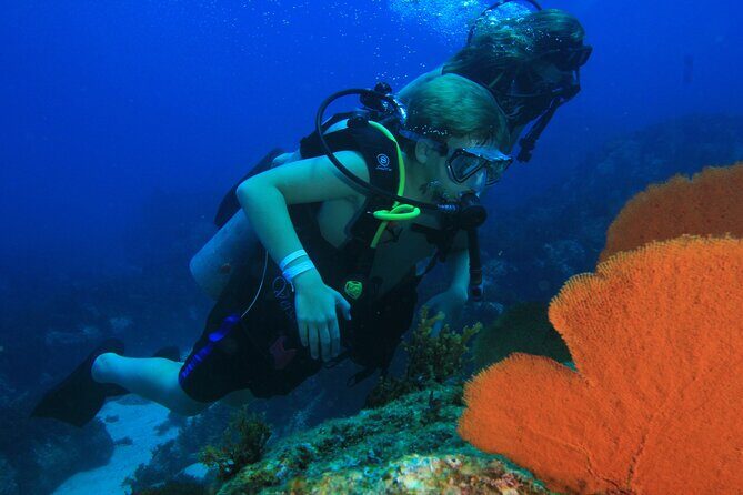 Private Beginner Scuba Diving Experience in Cabo San Lucas - Authentic Encounters with Marine Life