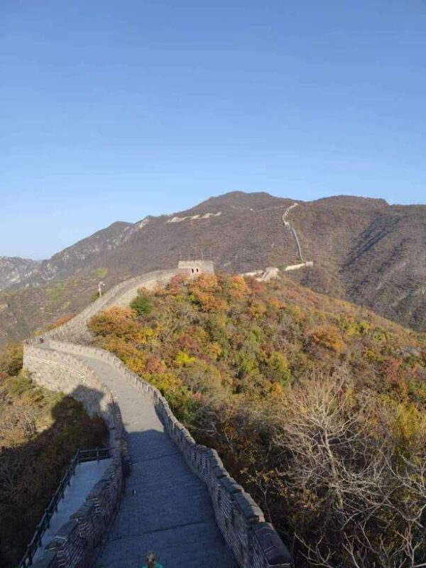 Private Beijing Layover Tour: Great Wall and Forbidden City - What Sets This Tour Apart?