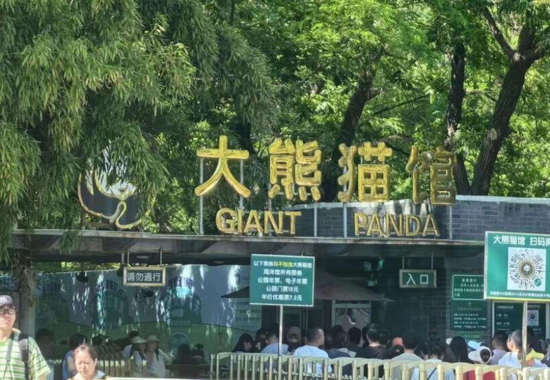 Private Beijing Layover Tour: Great Wall + City Attraction - Key Points