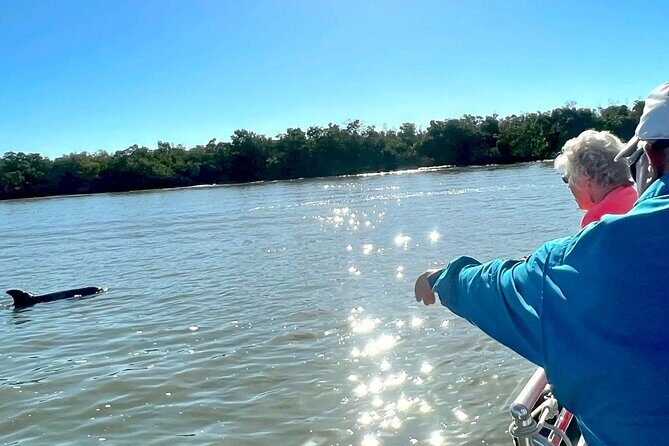 Private Best of Marco Island Dolphin Tour - Why Choose This Tour?