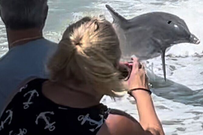 Private Best of Marco Island Dolphin Tour - Final Words