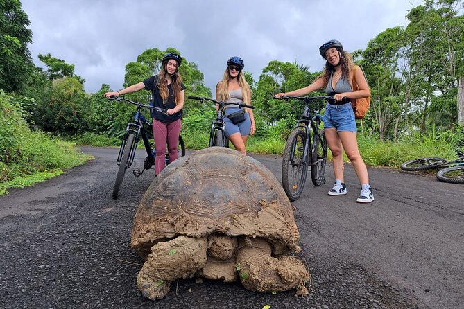 Private BiciTour Giant Tortoises and Lava Tunnel in Galapagos - Tour Experience