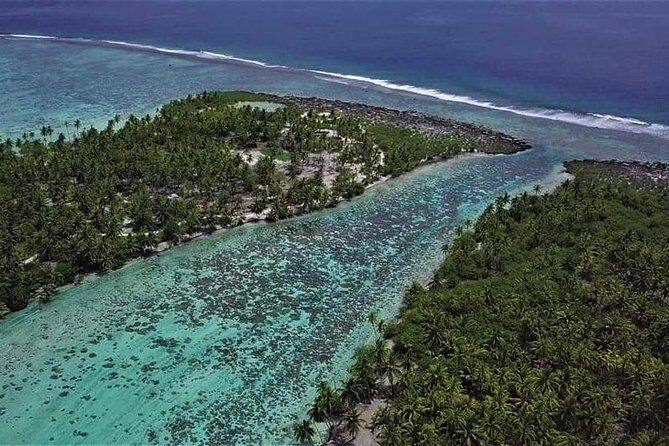 Private Big Game Fishing Tour in Raiatea - The Overall Value