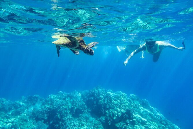 Private Big Island Snorkeling - Key Points