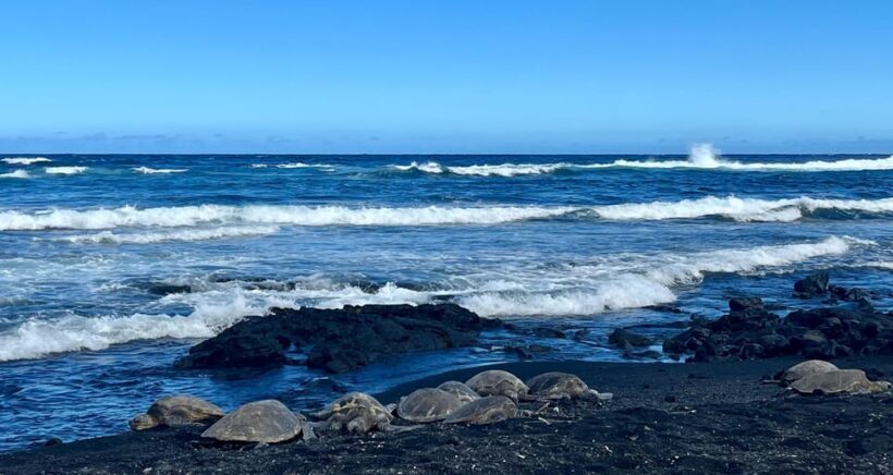 Private Big Island Tour:Coffee, Beaches,Volcanos & Waterfall - The Guide: Knowledgeable and Attentive