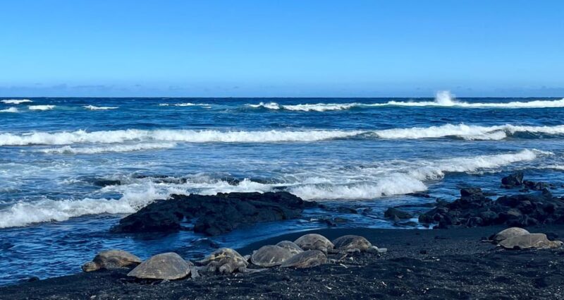 Private Big Island Tour:Coffee, Beaches,Volcanos & Waterfall - The Allure of a Private, Customizable Experience