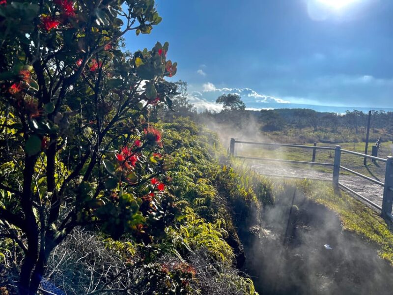 Private Big Island Tour:Coffee, Beaches,Volcanos & Waterfall - What Our Reviewers Say