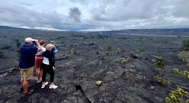 Private Big Island Tour:Coffee, Beaches,Volcanos & Waterfall - Who Will Love This Tour?
