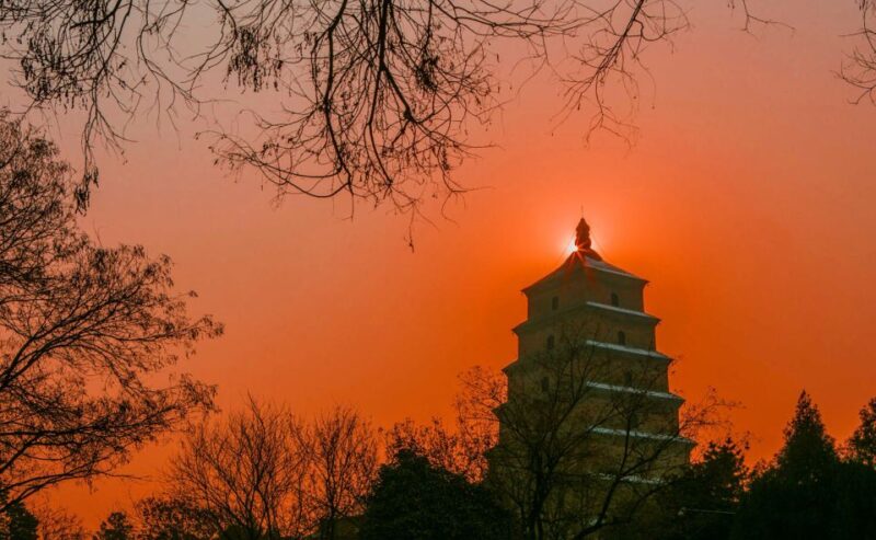 Private Big Wild Goose Pagoda Buddhism Walking Tour - What Reviewers Say (and Why It Matters)