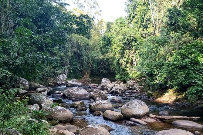 Private Bike Tour in Paraty - Key Points
