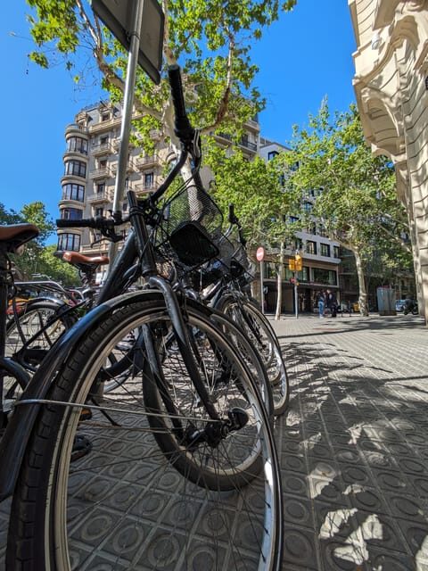 Private bike tour starting from your hotel - Who Should Book This Tour?