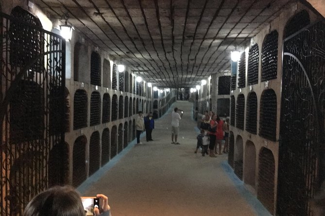 Private Bike Tour to Milestii Mici Winery with wine tasting and lunch - Key Points