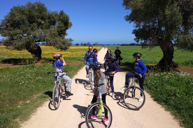Private Bike Tour With Olive Oil Tasting - Cycling Experience