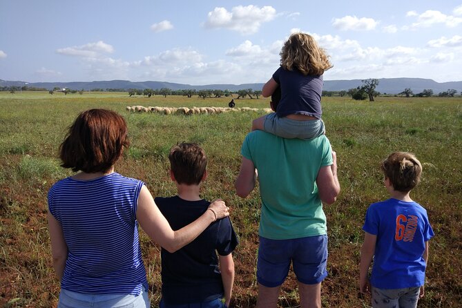 Private Bike Tour With Olive Oil Tasting - Lunch and Dining