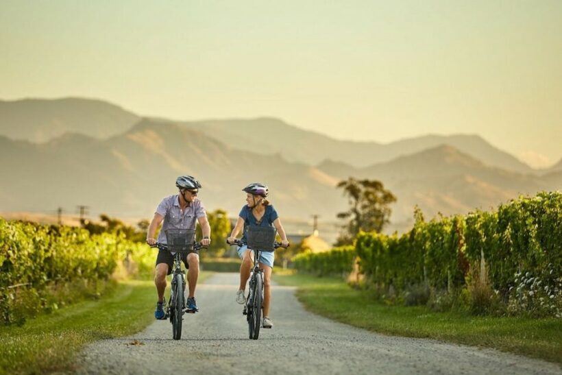 Private Biking Wine Tour (Full Day) Marlborough Region - Exploring the Marlborough Region on a Private Biking Wine Tour