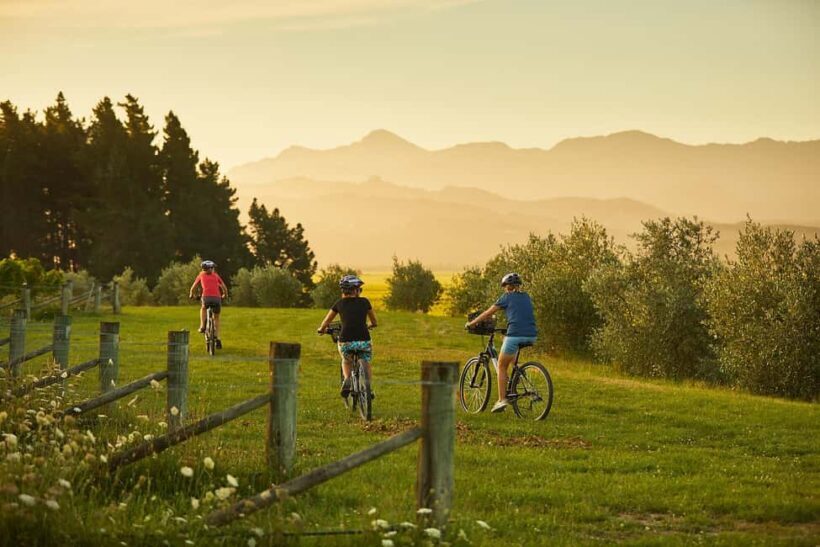 Private Biking Wine Tour (Full Day) Marlborough Region - The Allure of a Private Biking Wine Tour in Marlborough