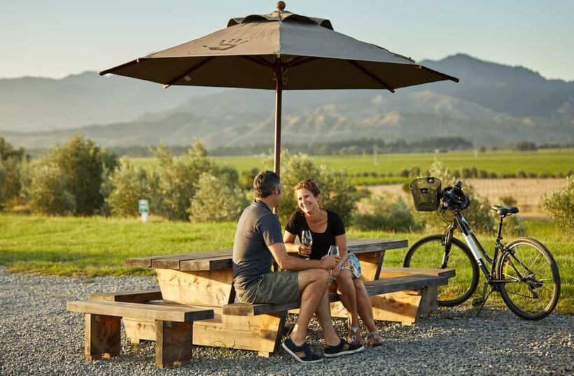 Private Biking Wine Tour (Full Day) Marlborough Region - What You’ll Love About the Experience