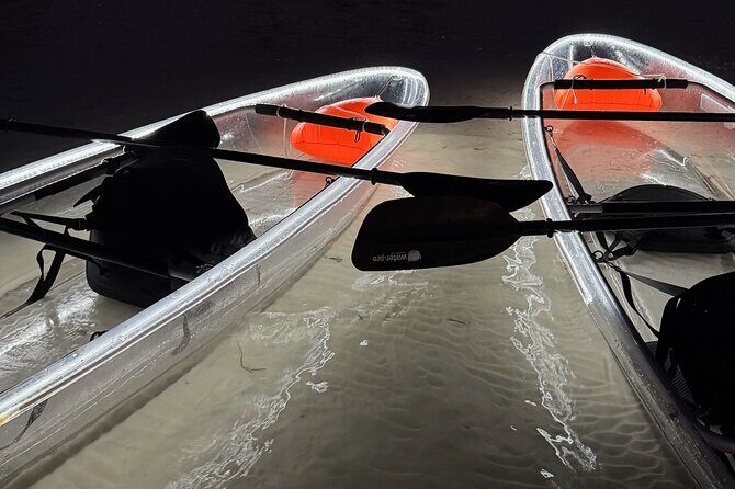 Private Bioluminescence Tour by clear Kayak in Holbox - An In-Depth Look at the Bioluminescence Tour