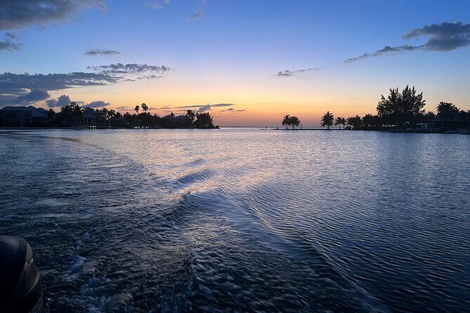 Private: Bioluminescence Tour - Authentic Experiences Highlighted by Travelers