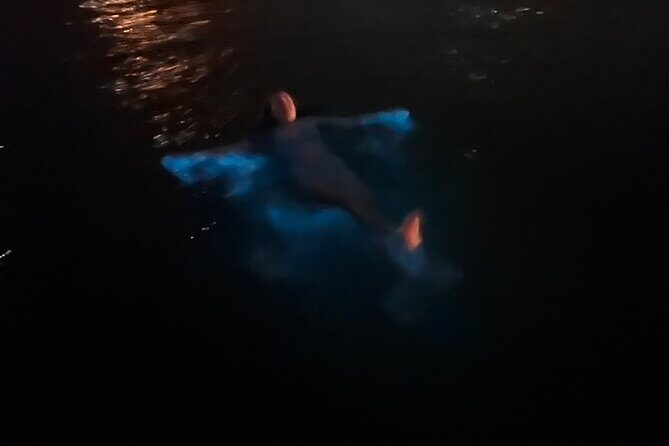 Private: Bioluminescence Tour - Who Should Consider This Tour?