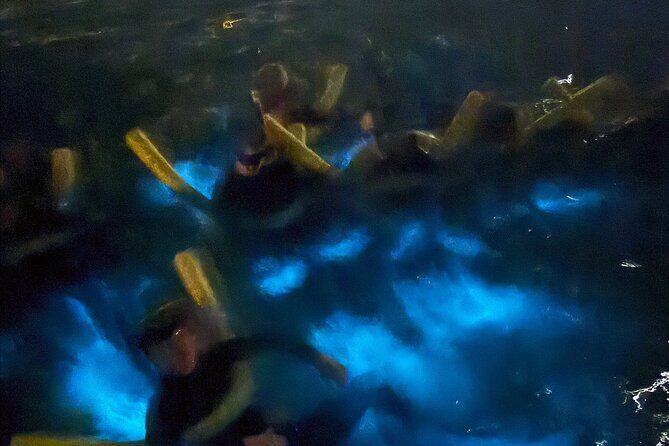 Private Bioluminescence Tour in Grand Cayman - In The Sum Up