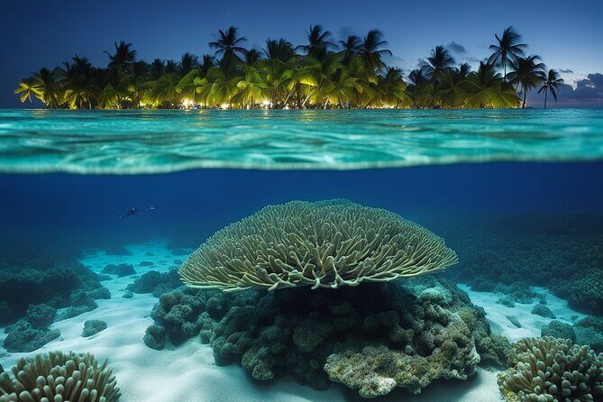 Private Bioluminescent Bay Tour - A Deep Dive Into the Experience