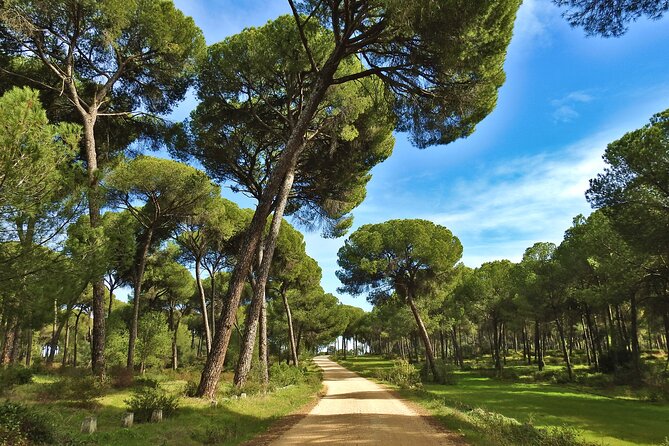Private Birding & Photography Day Trip to Doñana - Diverse Habitats Explored
